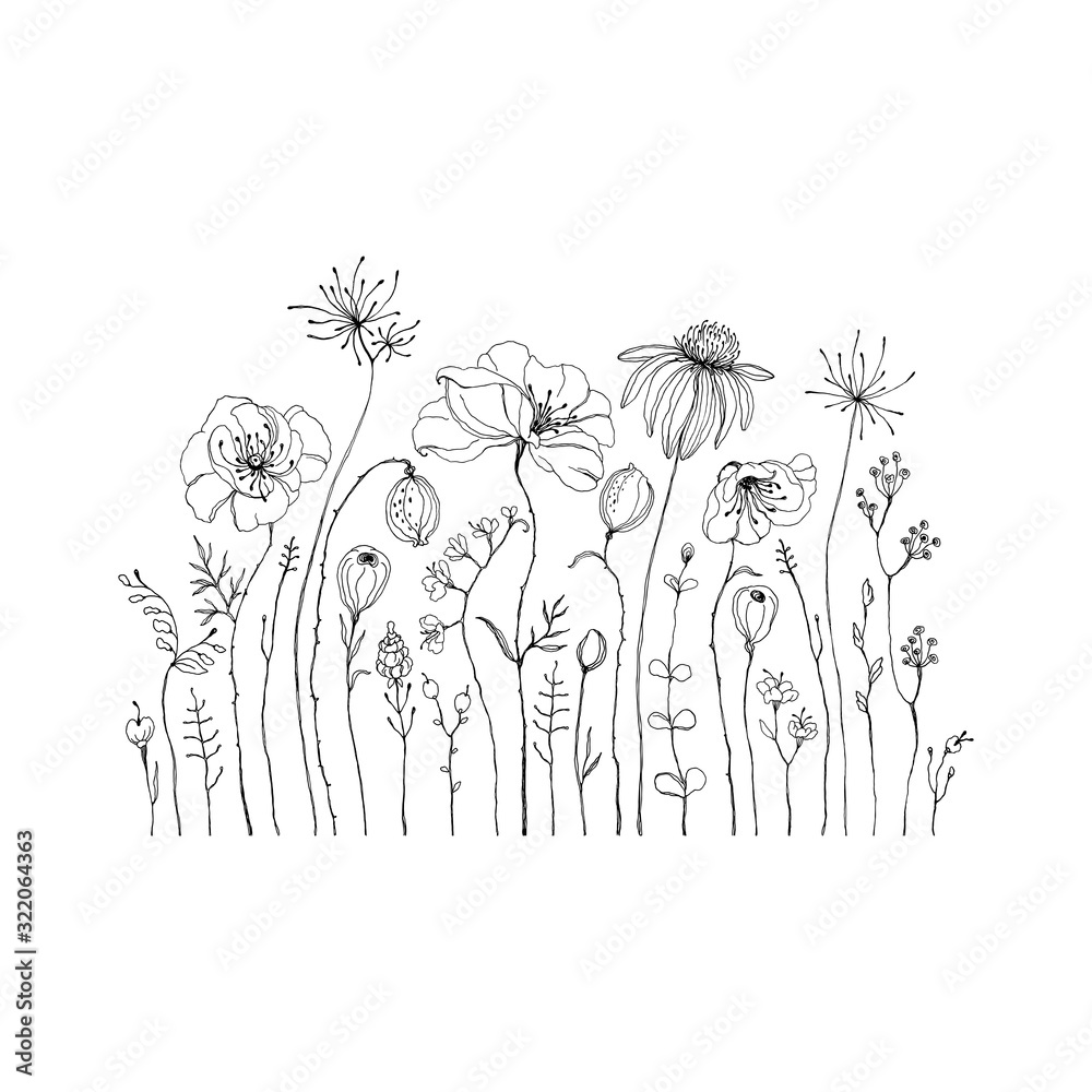 Hand drawn wildflowers and poppies. Decorative vector set in doodle ...