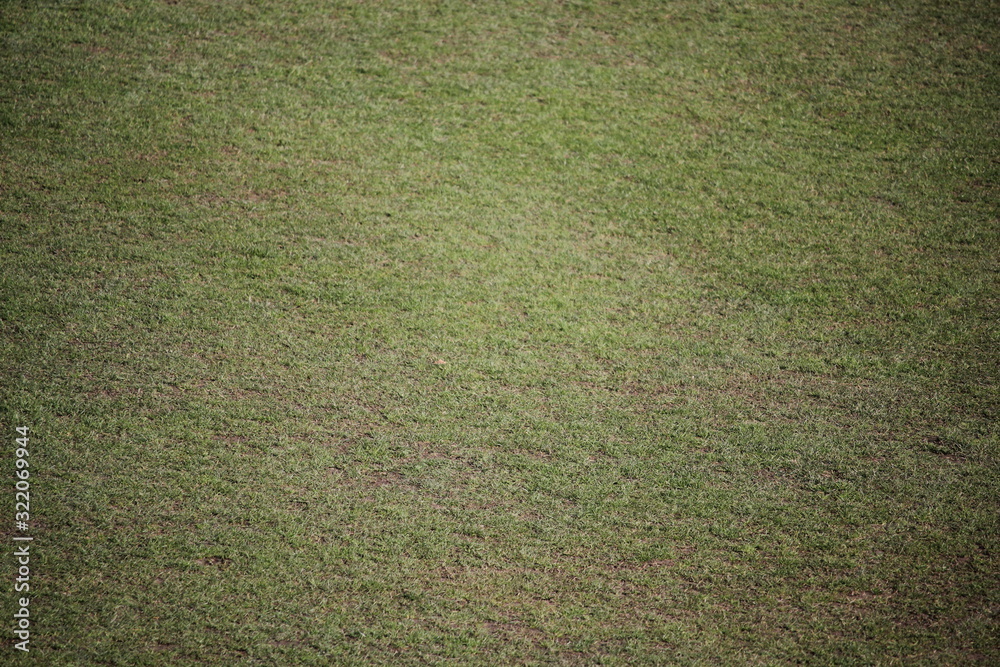 Prato verde Stock Photo | Adobe Stock