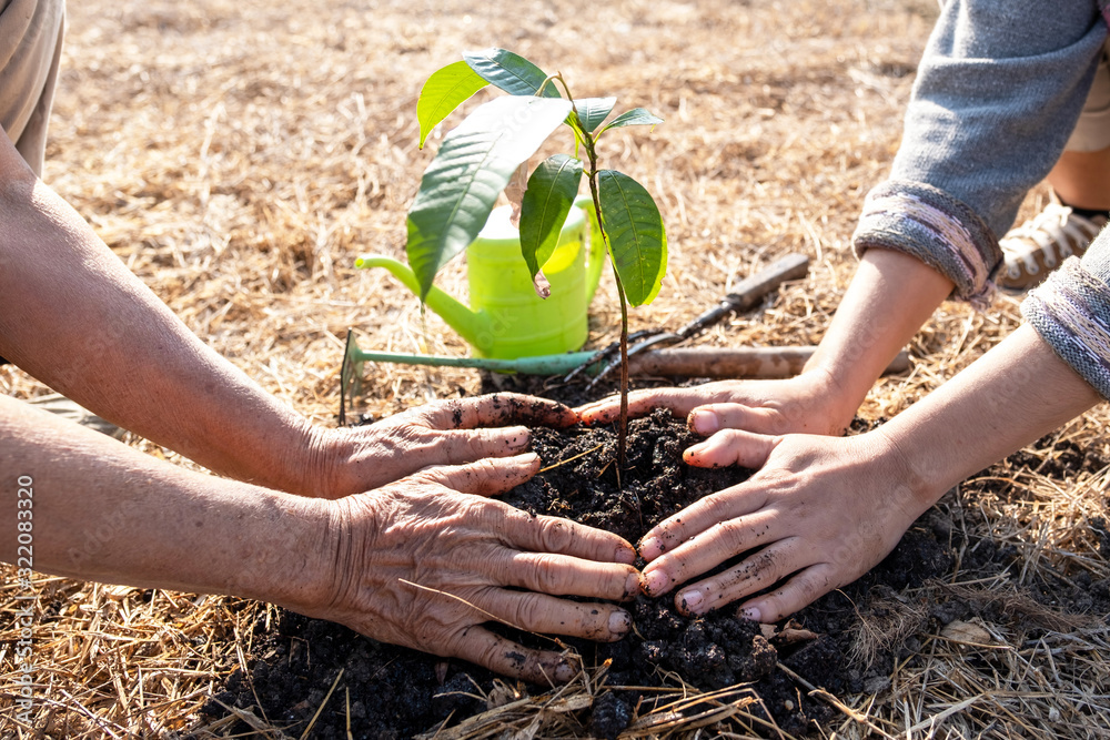 The hand of the senior woman and the hand of young women are helping ...