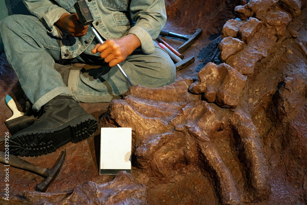 Archaeologist works on an archaeological site with dinosaur skeleton in ...