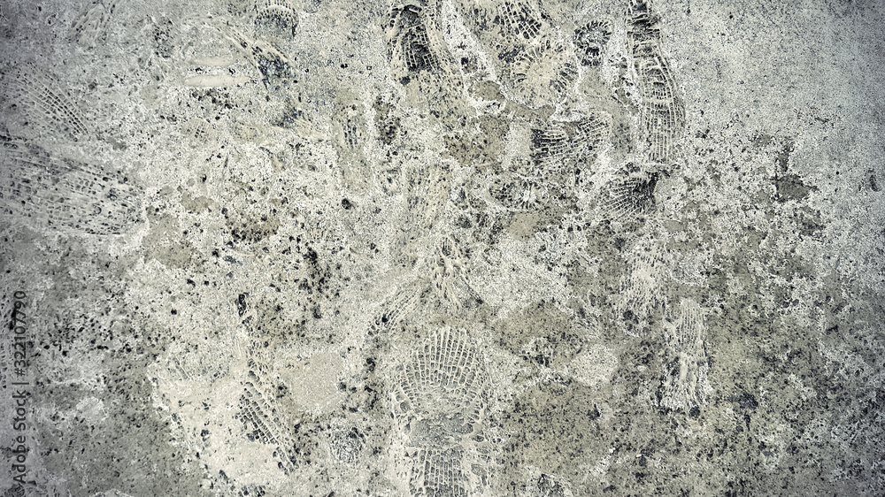 Stone texture with fossils Stock Illustration | Adobe Stock