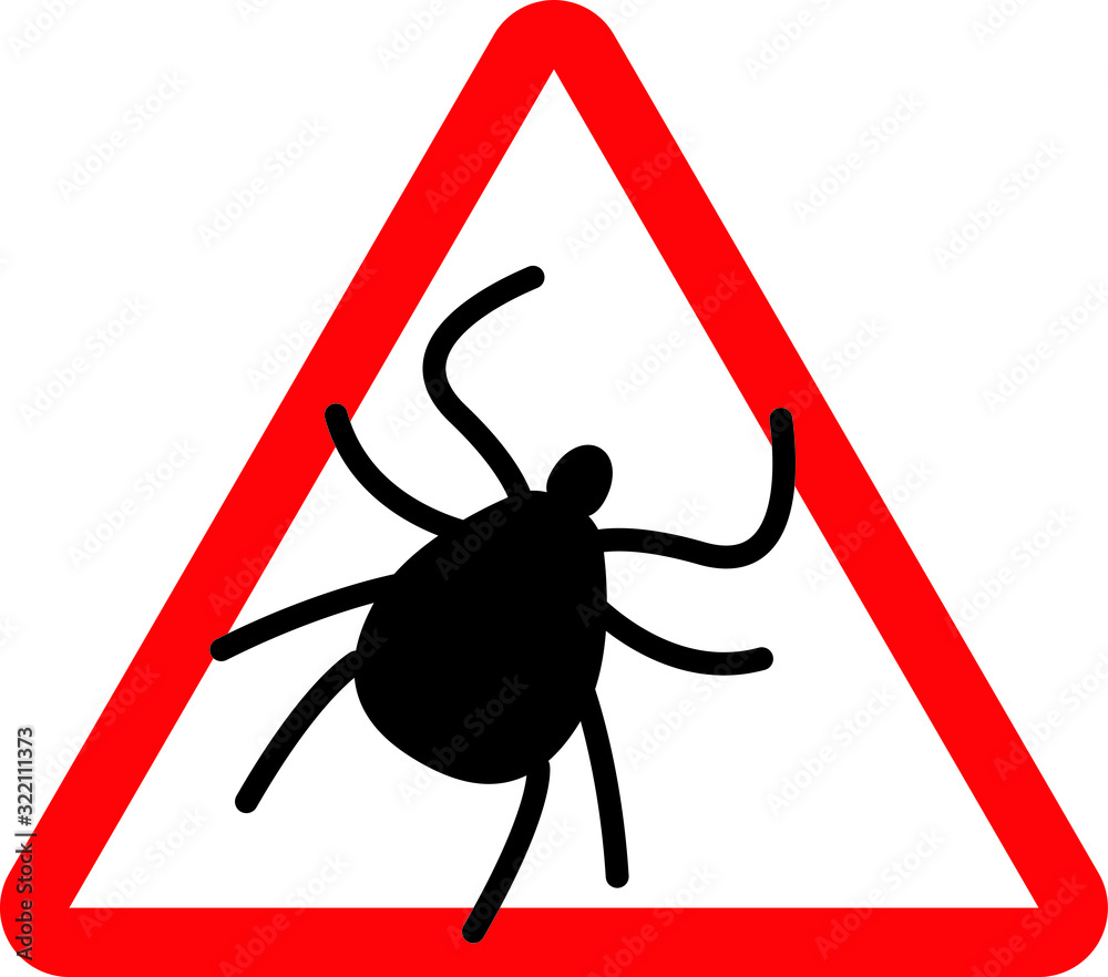 Tick icon insect icon, vector illustration Stock Vector | Adobe Stock