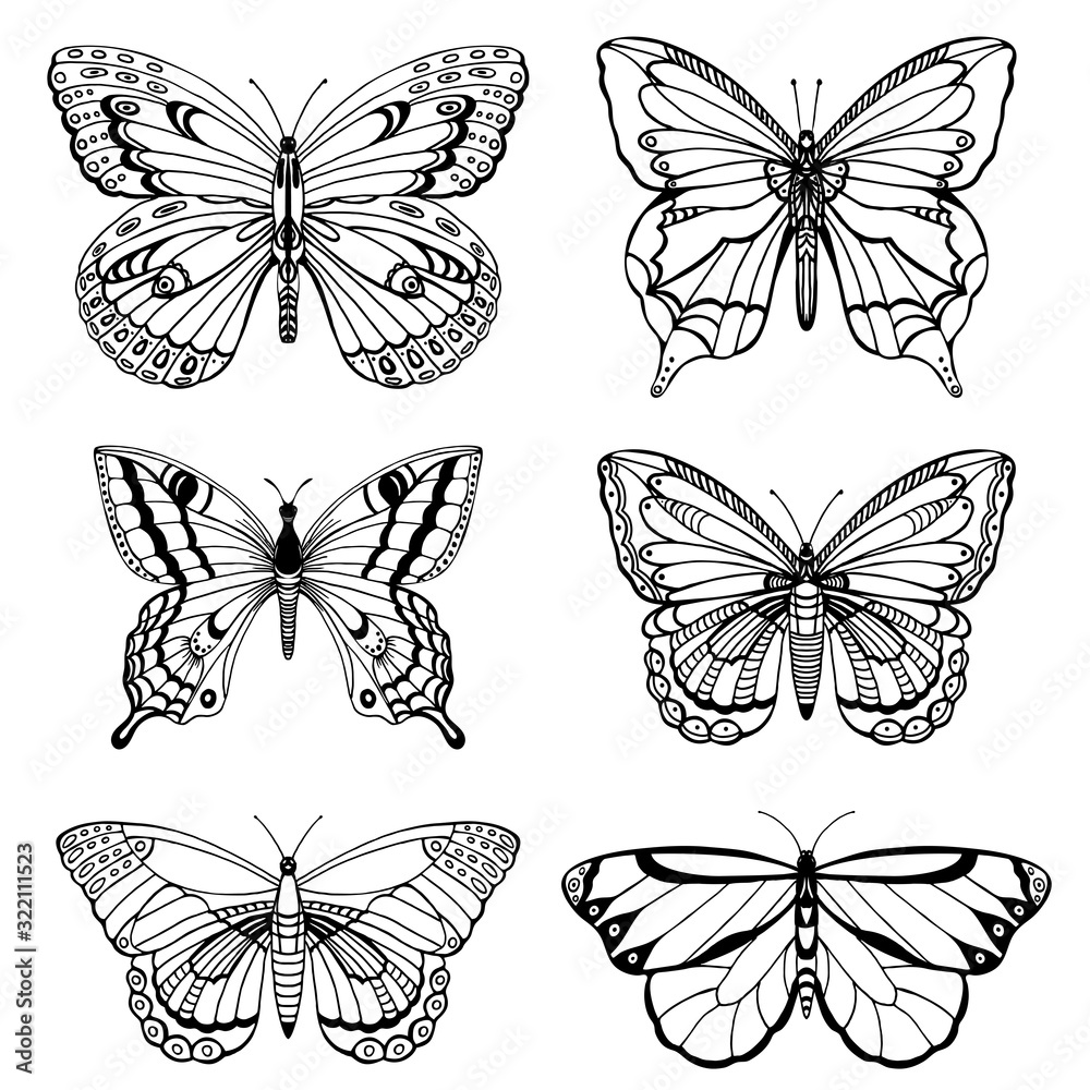 Collection of hand drawn butterflies isolated on white background ...