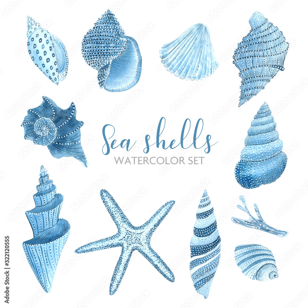 Hand-drawn watercolor sea set with shells. Cartoon concept for ...