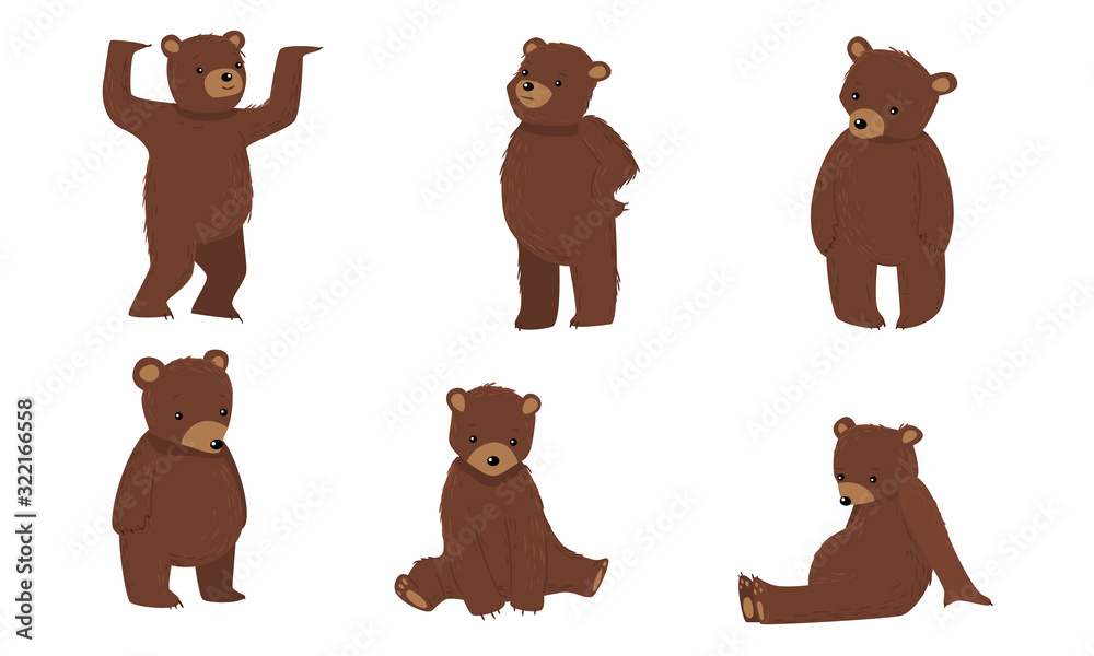 Set of brown bears in everyday life situations. Vector illustration in ...