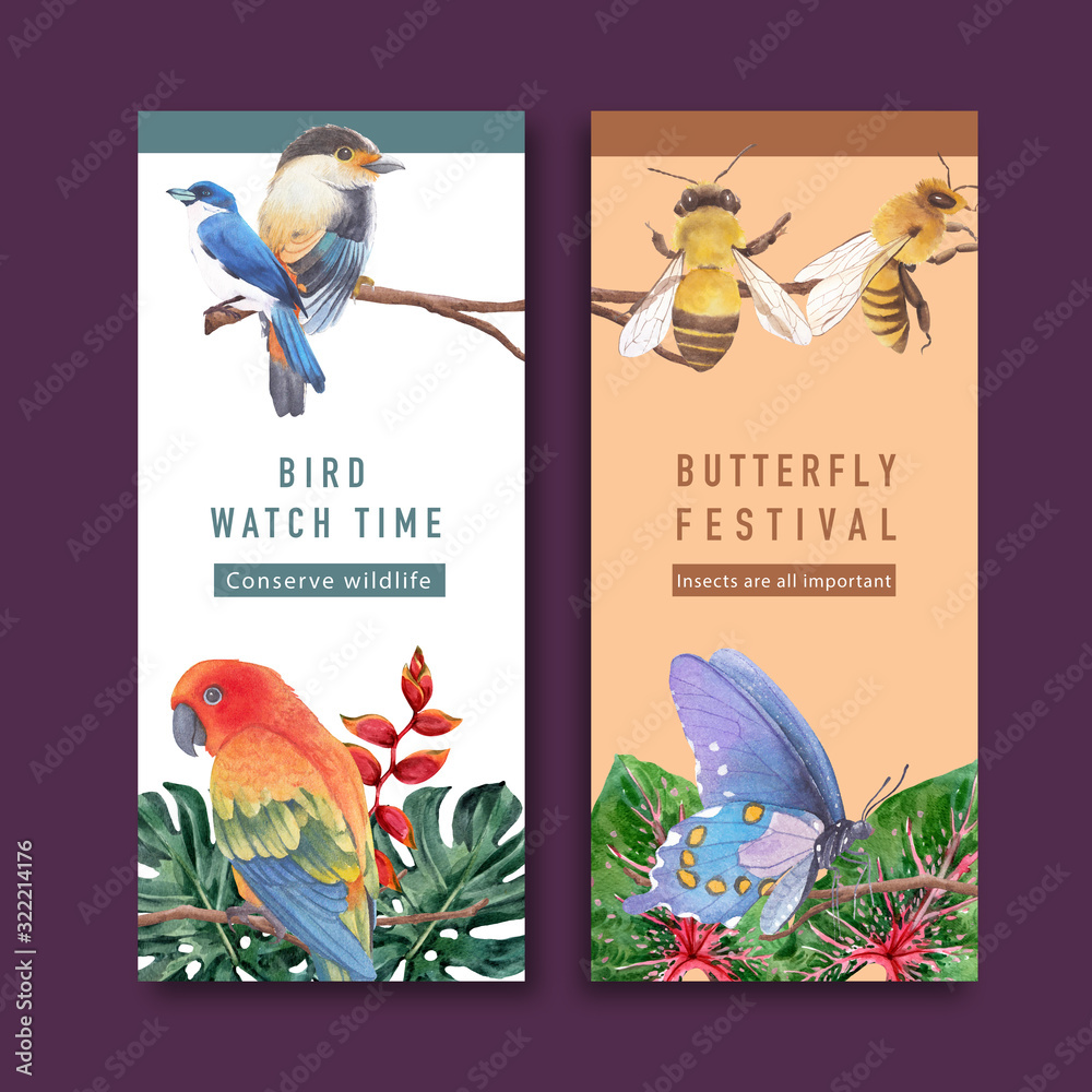 Insect and bird flyer design with wasp, butterfly, sun conure ...