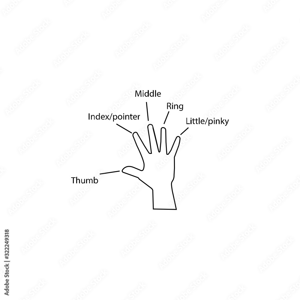 The name of the fingers in English. Hand sign. Educational picture ...