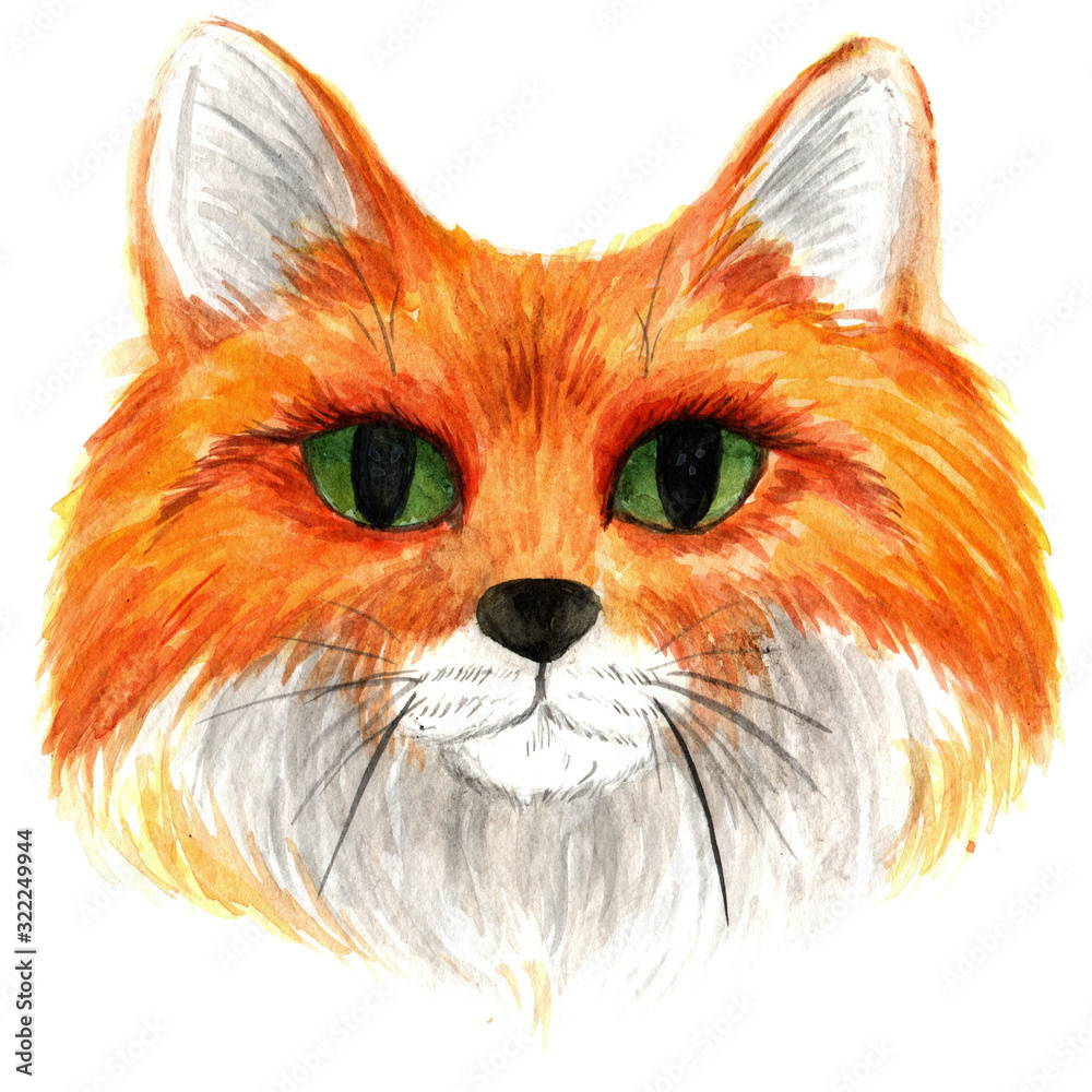 Red Fox Green Eyes