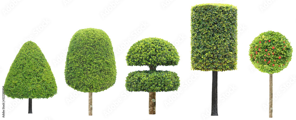 collection set of different shape of topiary tree isolated on white ...