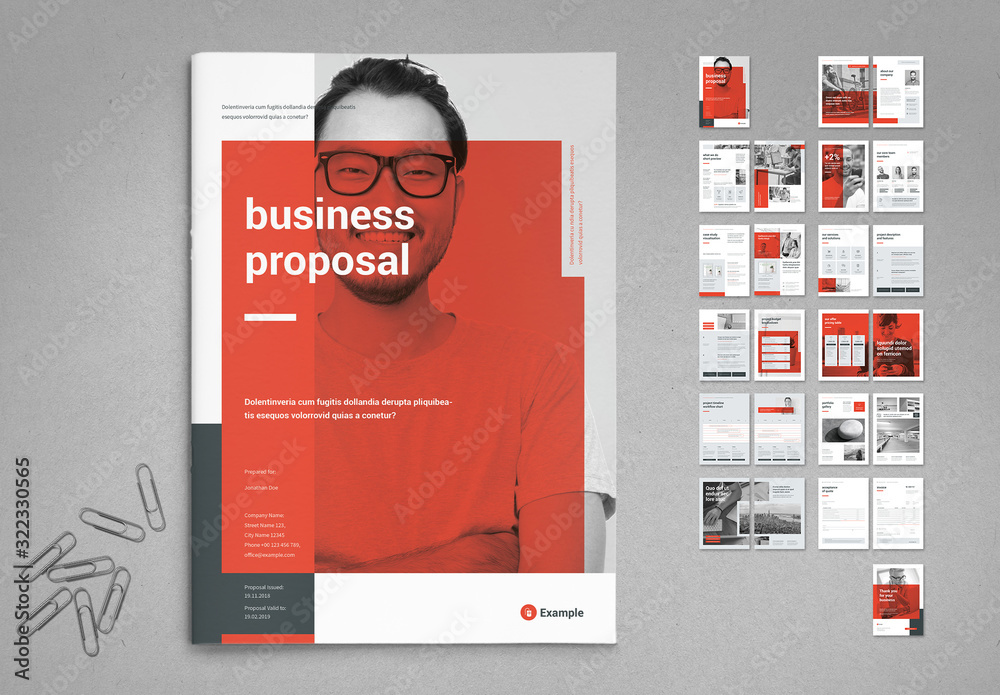 Light Gray and Red Proposal Layout Stock Template | Adobe Stock