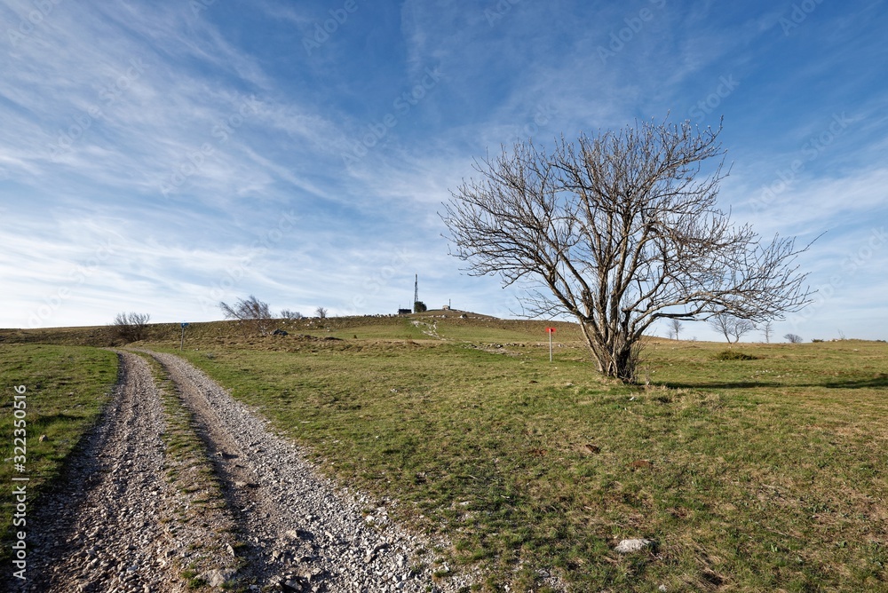 Slowenien - Istrien - Berg Slavnik - Wanderweg von Podgorje Stock Photo ...