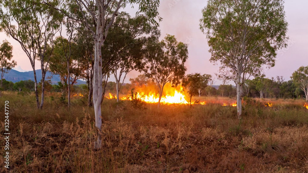 Landscape view of "Controlled Burning" to reduce bushfire risk in the ...