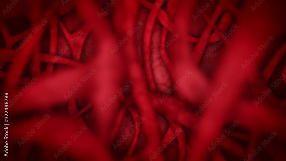 Human cardio vascular system with red blood vessels. Heart beat ...