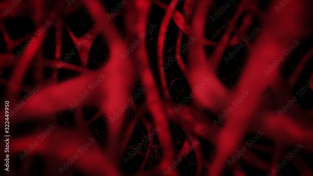 Human cardio vascular system with red blood vessels. Heart beat ...