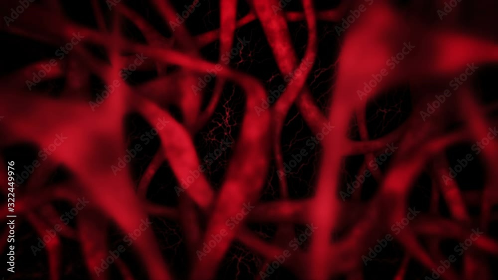 Human cardio vascular system with red blood vessels. Heart beat ...