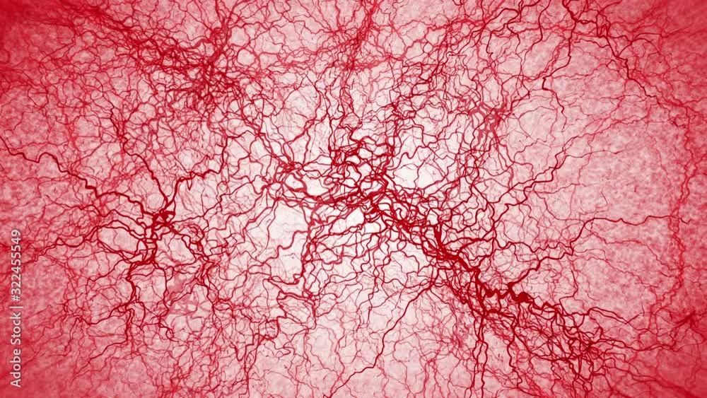 3D loop animation of human blood vessel. Red capillaries. Eye blood on ...