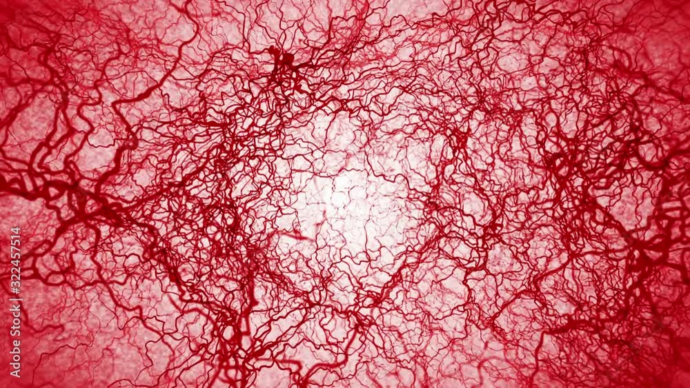 3D loop animation of human blood vessel. Red capillaries. Eye blood on ...