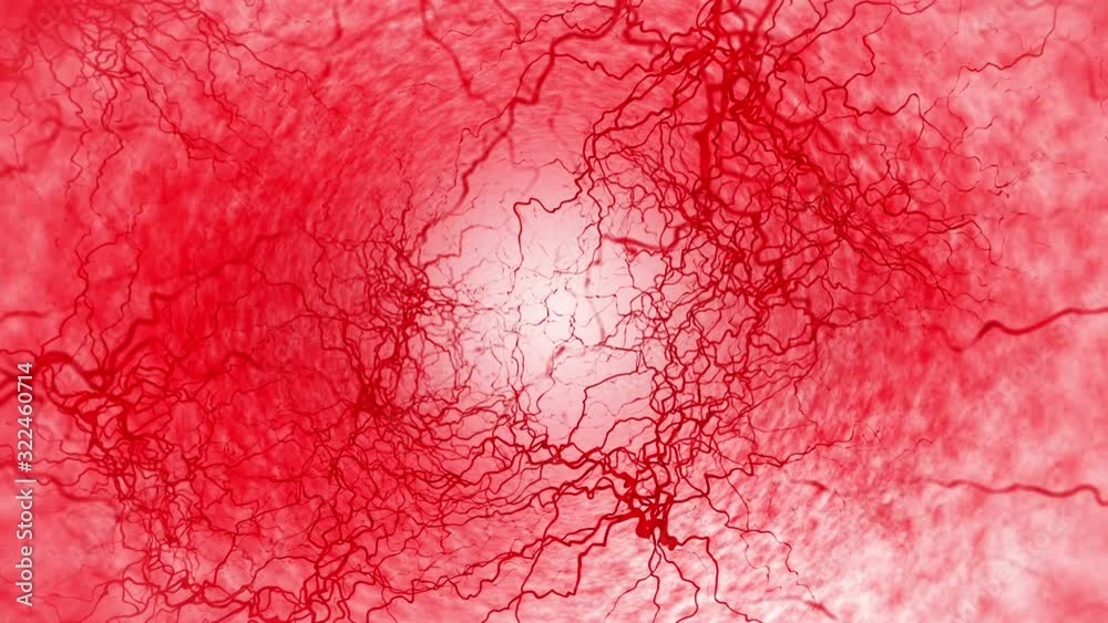 3D loop animation of human blood vessel. Red capillaries. Eye blood on ...