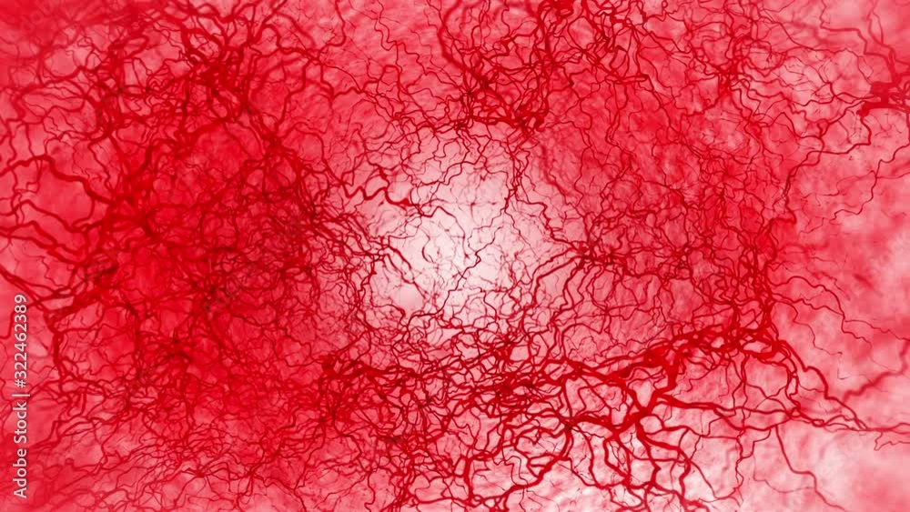 3D loop animation of human blood vessel. Red capillaries. Eye blood on ...