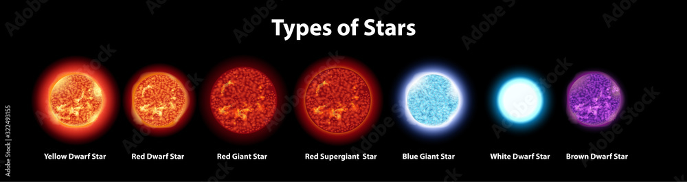 Diagram showing different types of stars Stock Vector | Adobe Stock