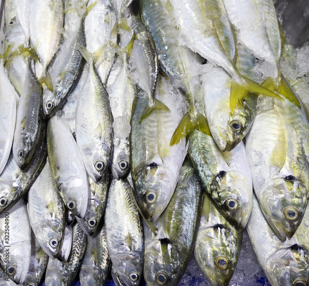Fresh fish Stock Photo | Adobe Stock