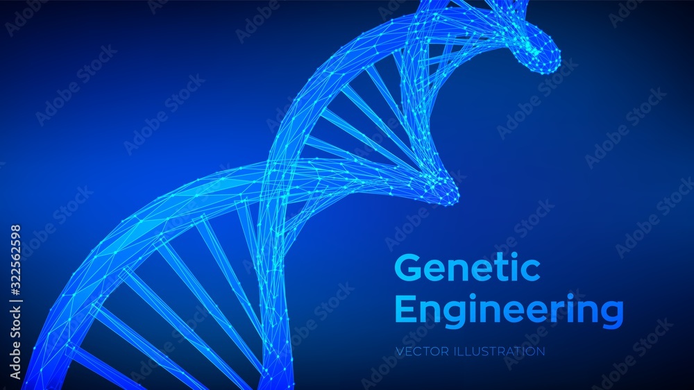 DNA sequence. Abstract 3d polygonal wireframe DNA molecules structure ...