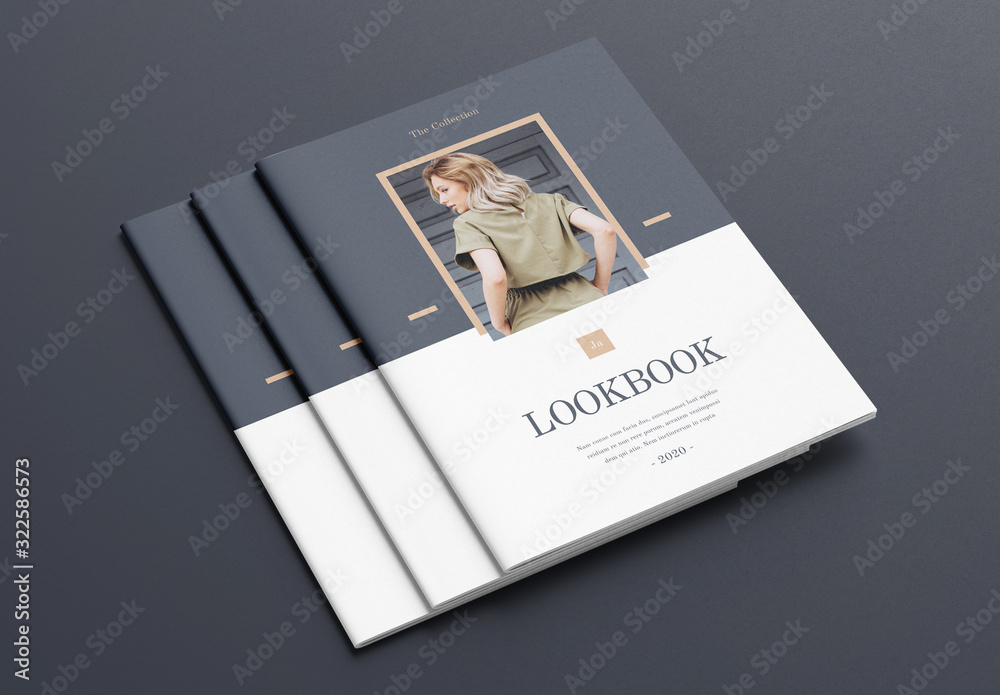 Fashion Lookbook Layout with Gray and Brown Accents Stock Template ...
