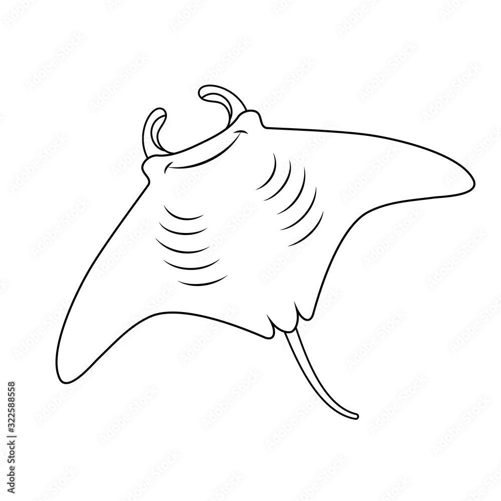 Manta ray outline drawing. Vector Illustration. Stock Vector | Adobe Stock