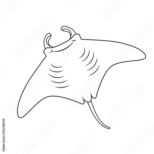Manta ray outline drawing. Vector Illustration. Stock Vector | Adobe Stock