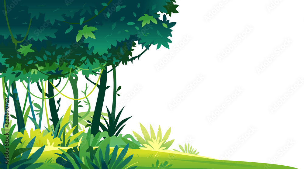 Wild jungle forest with trees, bushes and lianas on white background ...