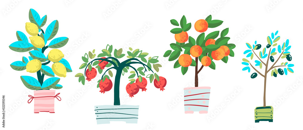 Tangerine Tree Clip Art