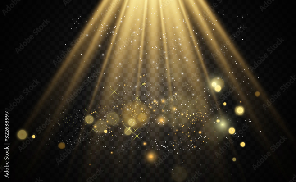 Vector Gold Sparkles, magic, bright light effect on a transparent ...