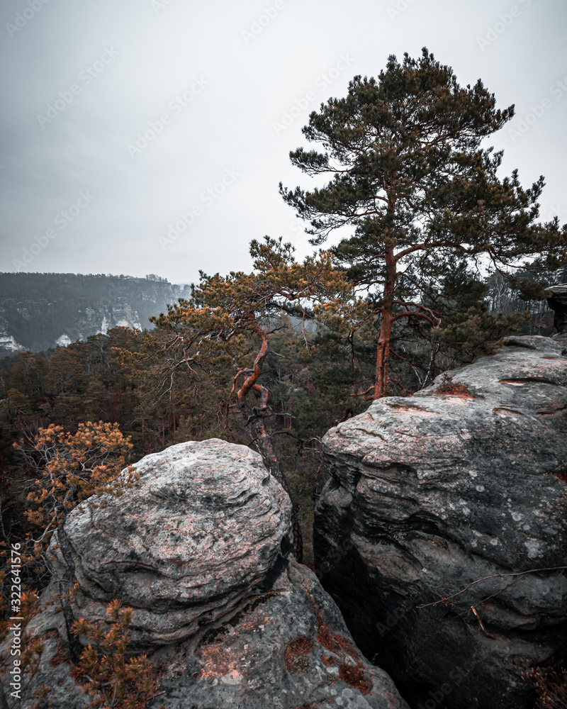 Wanderung durch den Wald zum Rauenstein Sächsische Schweiz Stock Photo ...