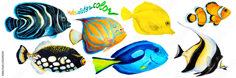 Set of tropical reef fish clownfish, moorish idol (zanclus), Emperor ...