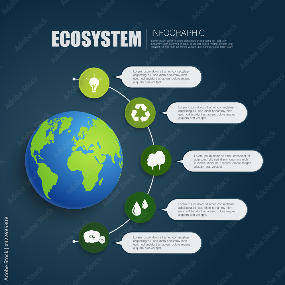 Earth infographic, Vector illustration with 5 options Stock Vector ...
