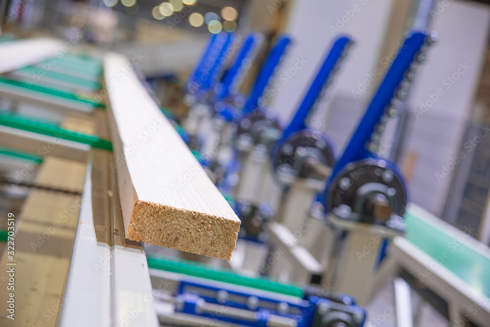 Conveyor in the production hall. Lumber lies on the conveyor. Board in ...