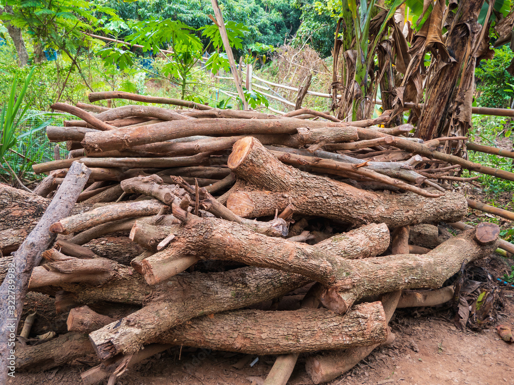 Pile of timber stump in countryside in natural green background. Stock ...