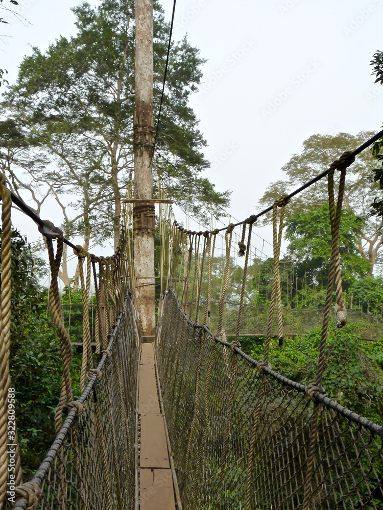 Kakum National Park Accra in Ghana - ACC for forest walks, treetop ...