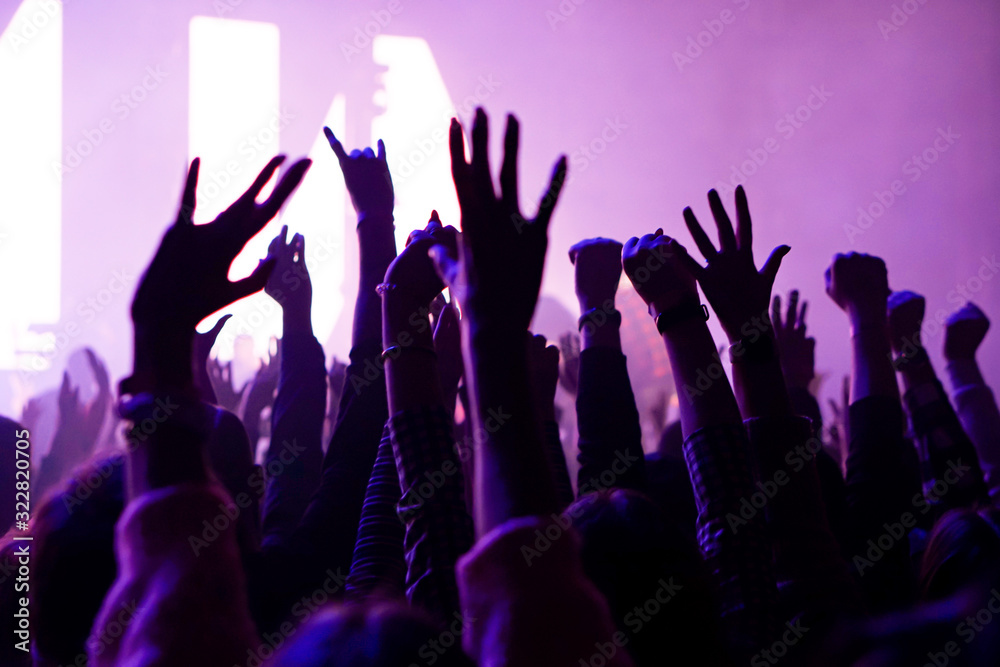 crowd cheering and hands raised at a live music concert Stock Photo ...