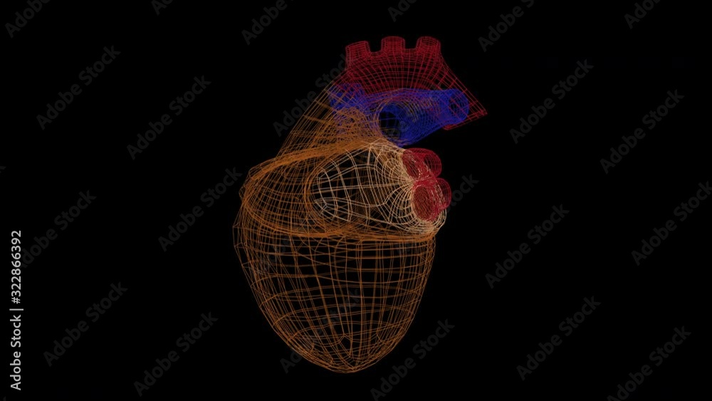 Heart scan animation. The interface for detecting diseases and problems ...