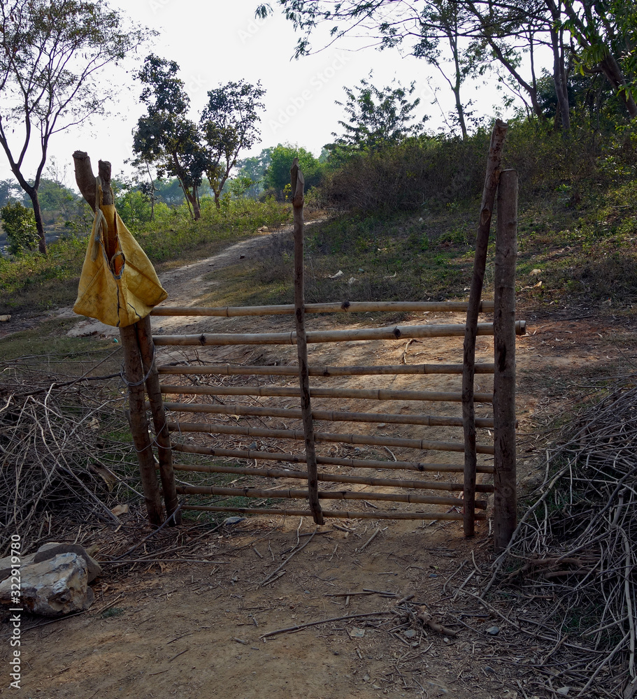 A very funny gate made with bamboos at a empty field and without any ...