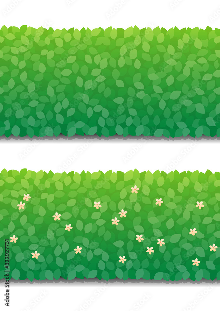 Bush wall and little flowers isolated on white background. Green bushes ...