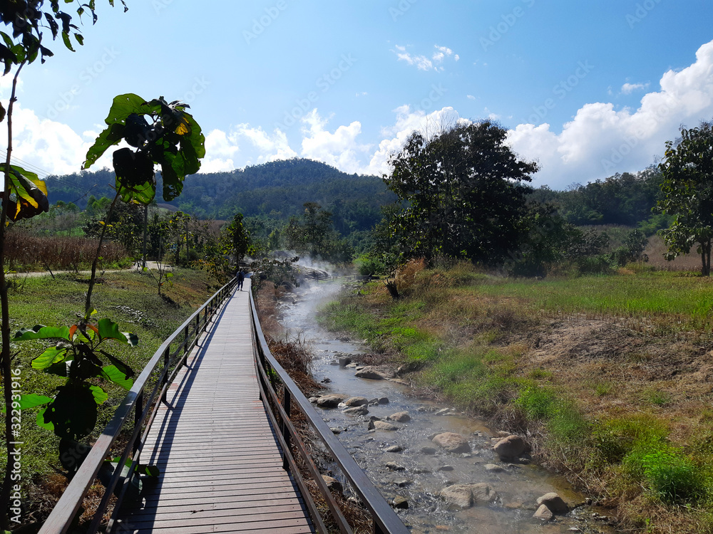 Hot spring in the middle of the forest Stock Photo | Adobe Stock