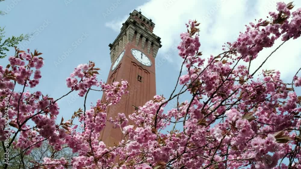 Spring blossom flowering at the famous University of Birmingham, West ...