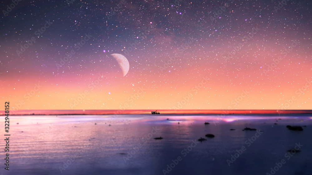 Summer Nights Stars