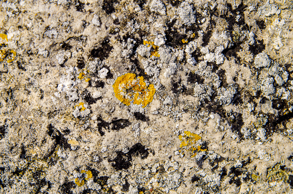 Color rock close up. Natural forms in stone structure. Background ...