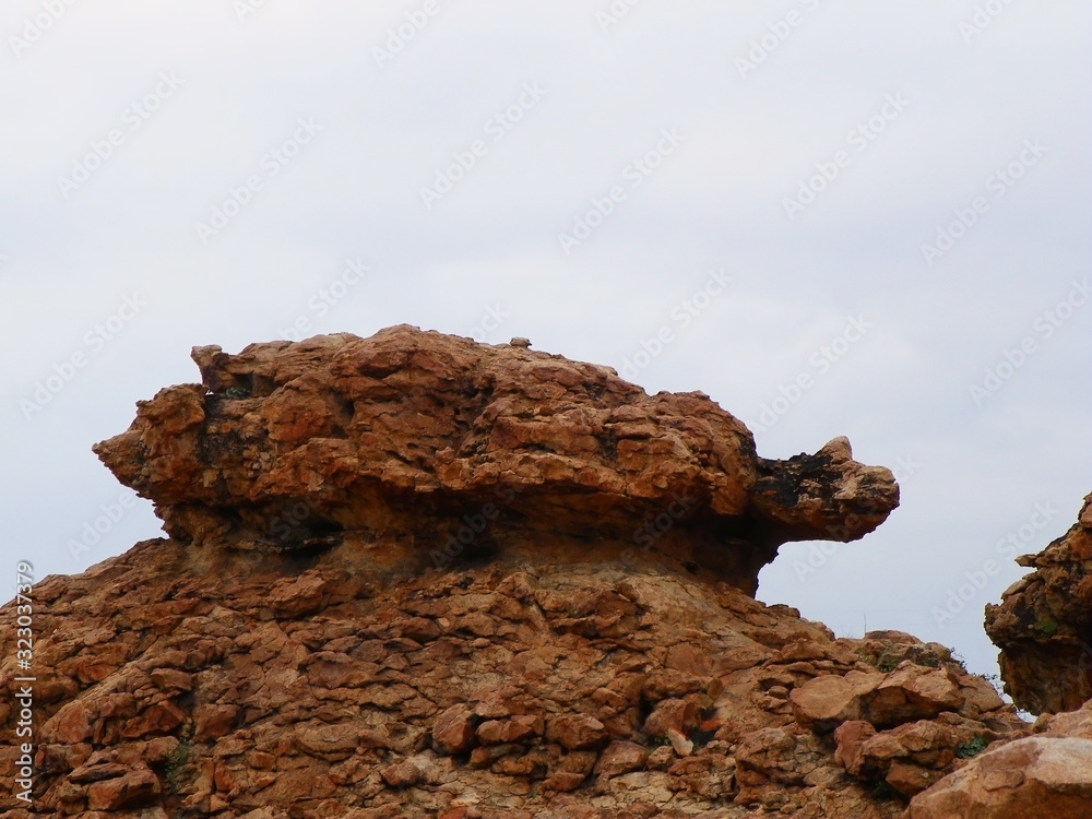 Turtle Shaped Rock Formation On Orvakal Rock Garden India Stock Photo ...