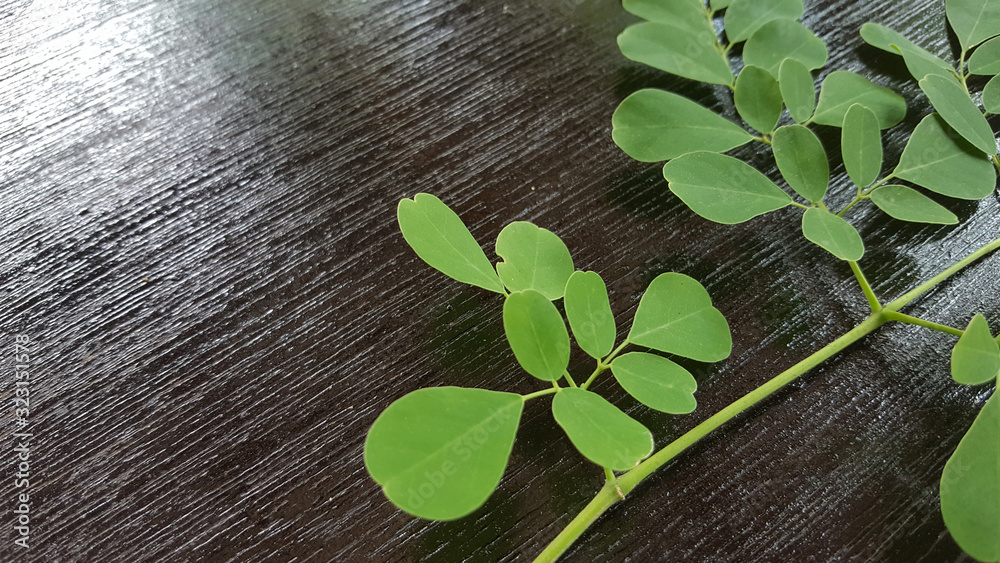 Moringa oleifera is a plant that is often called the drumstick tree ...