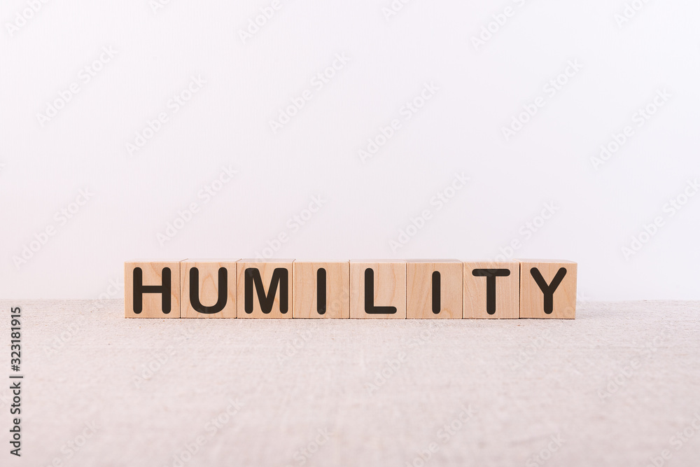 humility is made from building blocks on a white background Stock Photo ...
