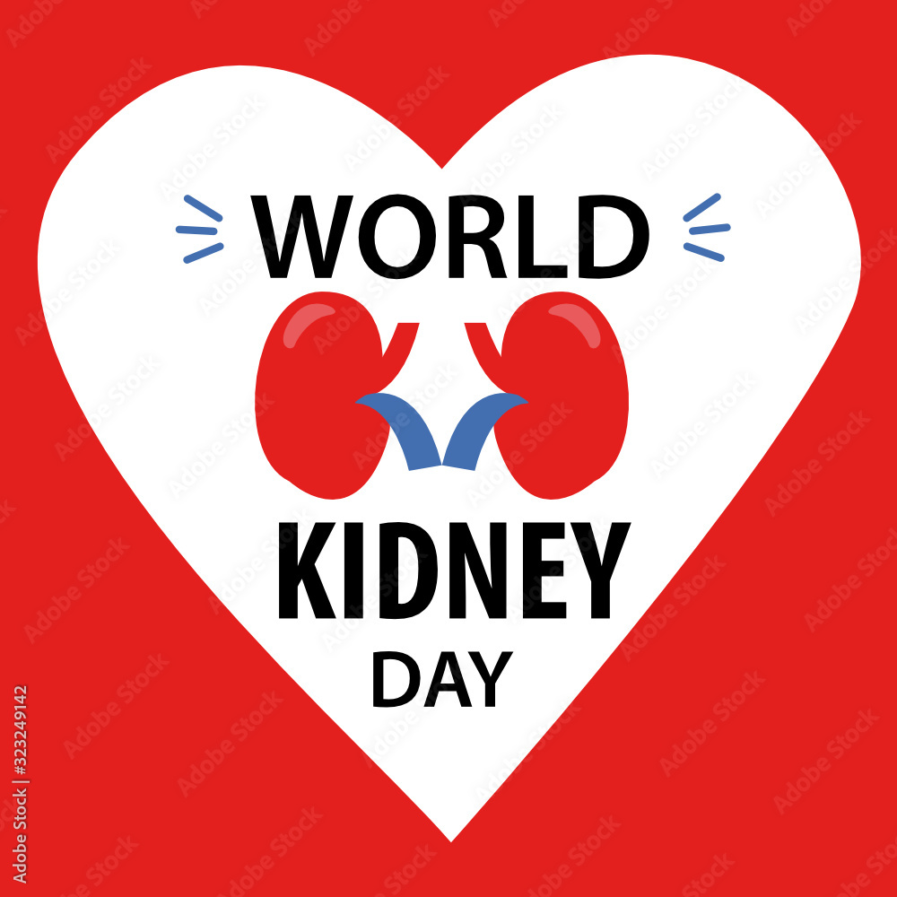 Illustration of world kidney day poster or banner background ...